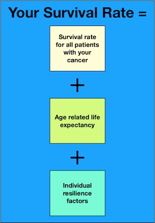 Home [stephennorwood.net]